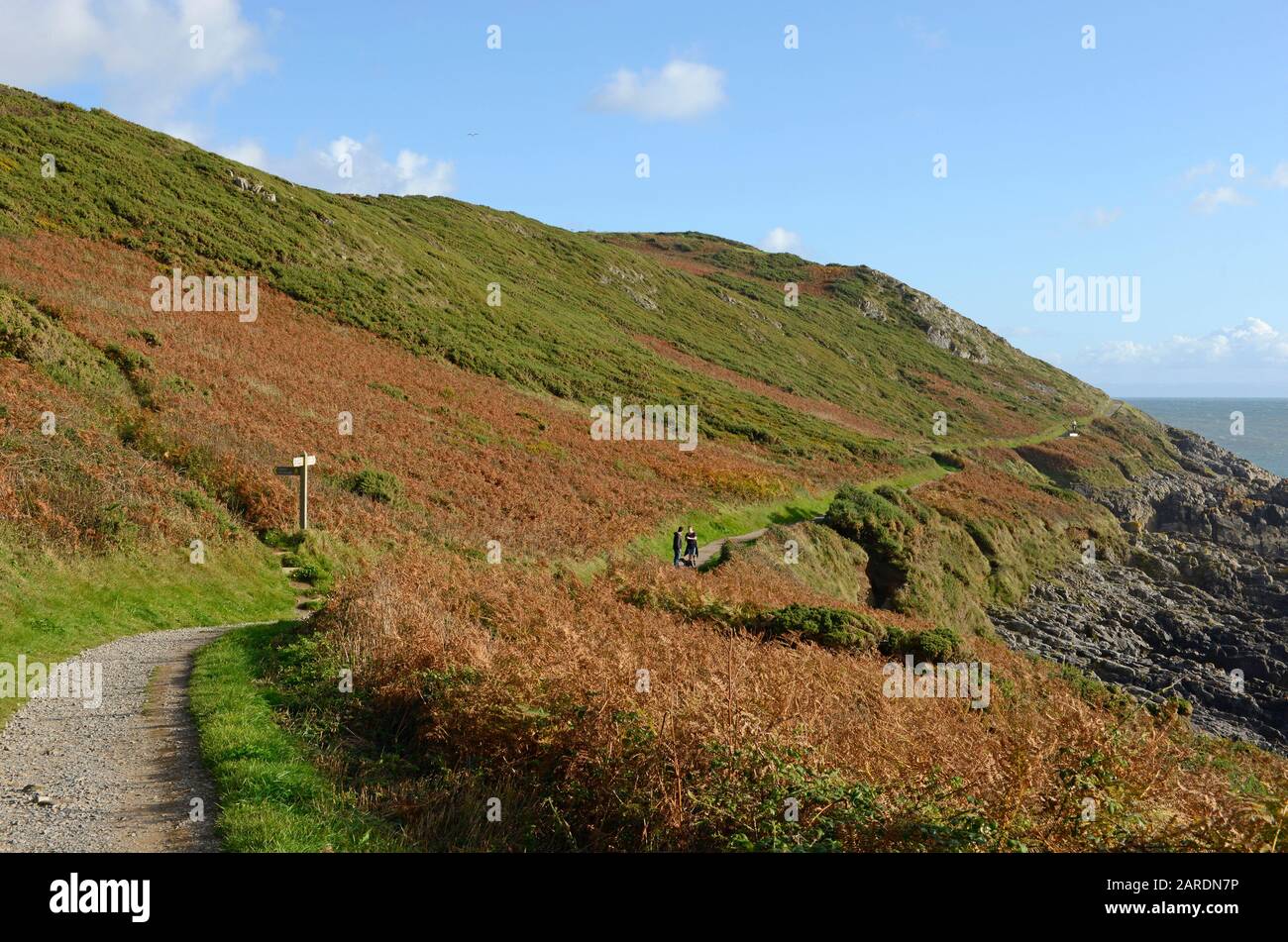 Coastal path leading from Caswell Bay beach at Mumbles on the Gower ...