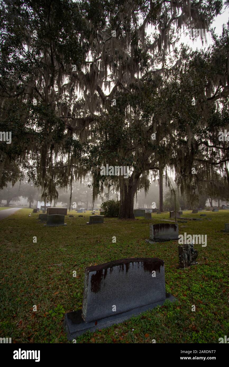 Sunset through thick fog in a cemetery Stock Photo - Alamy