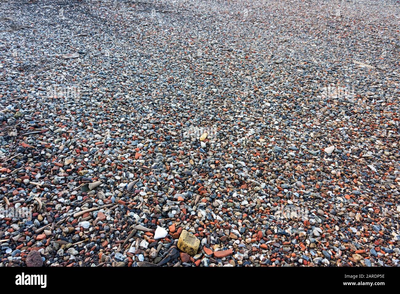 Animal bones hi-res stock photography and images - Alamy