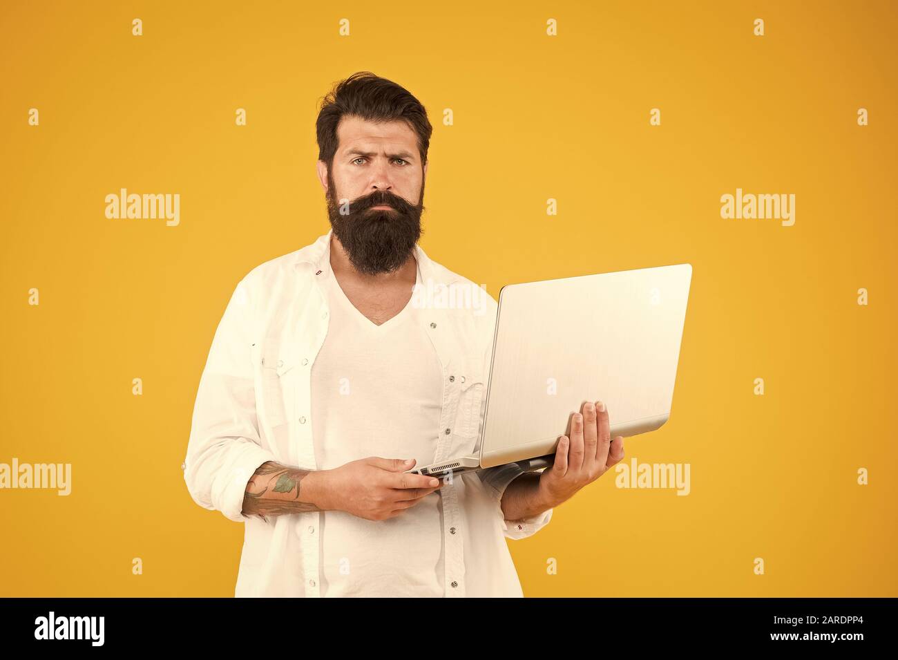 Bearded man laptop yellow background. shopping online. agile business ...