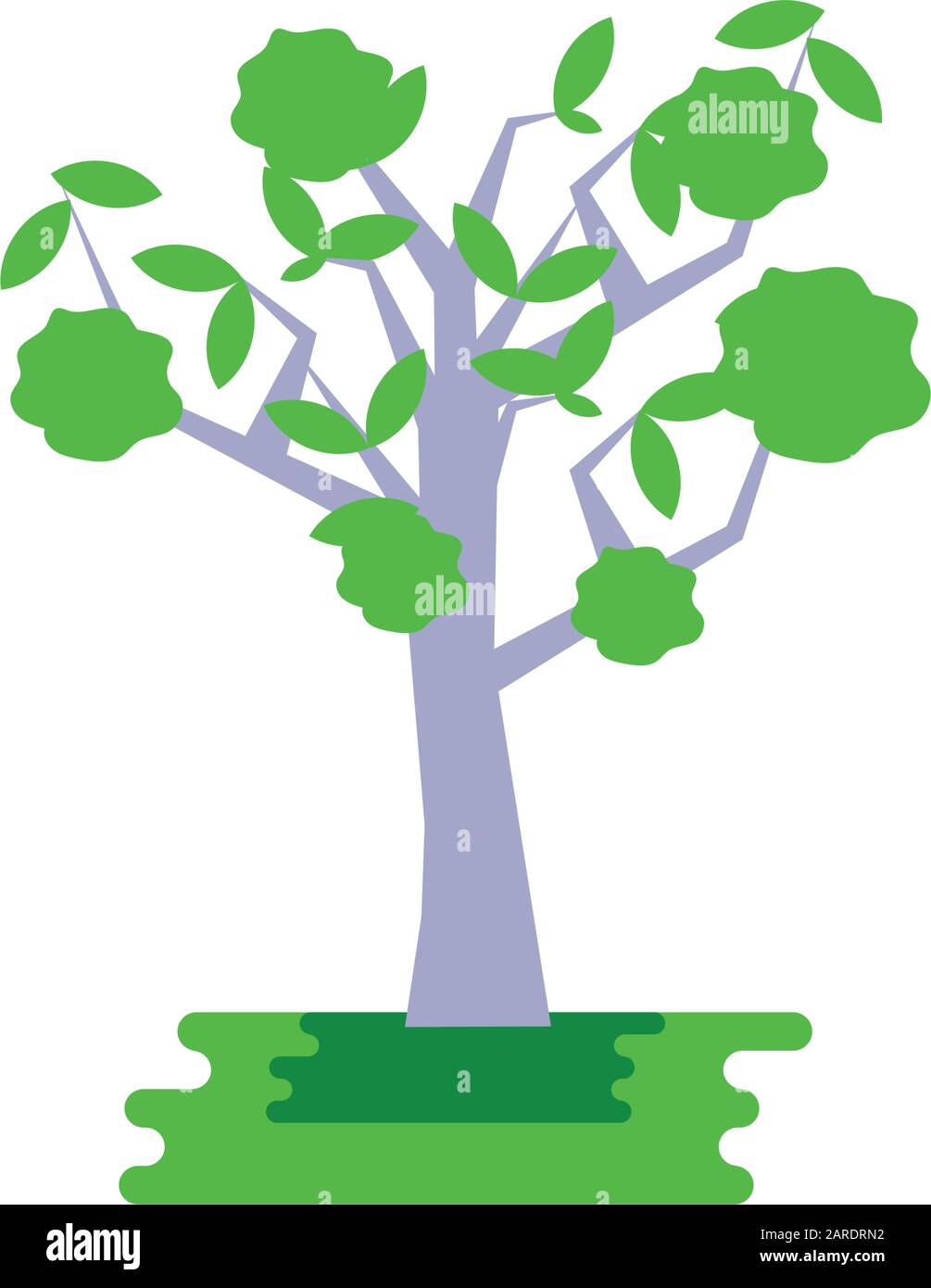 Australian tree design, Nature plant summer season environment natural ...