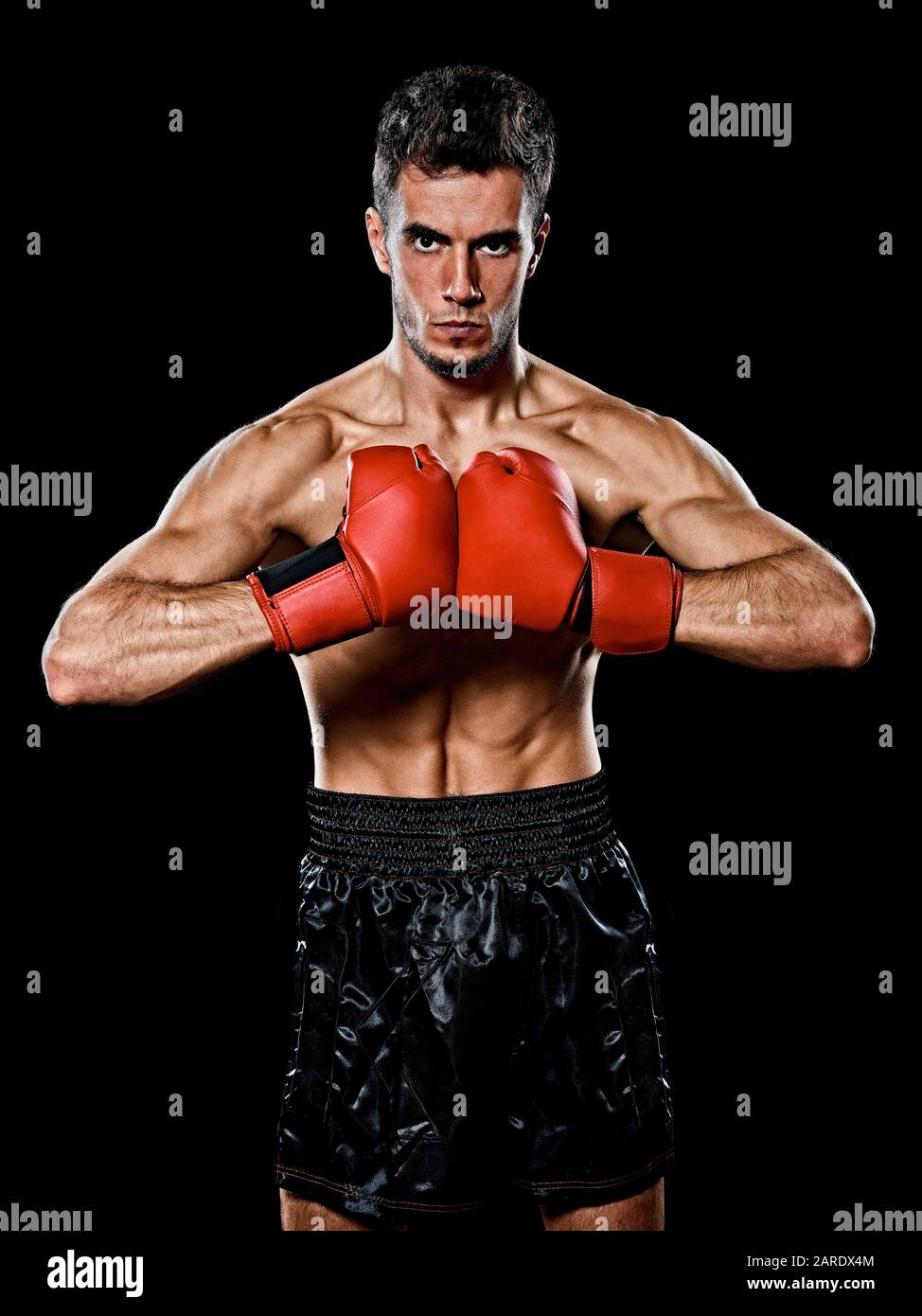 one caucasian young player man boxer boxing portrait waist up in studio ...