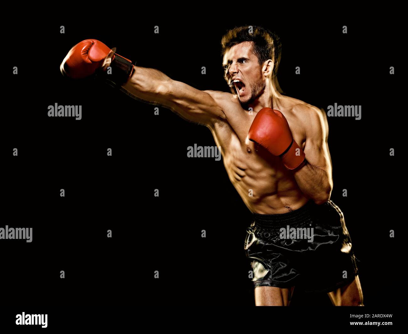 Boxer Fighter Wallpaper