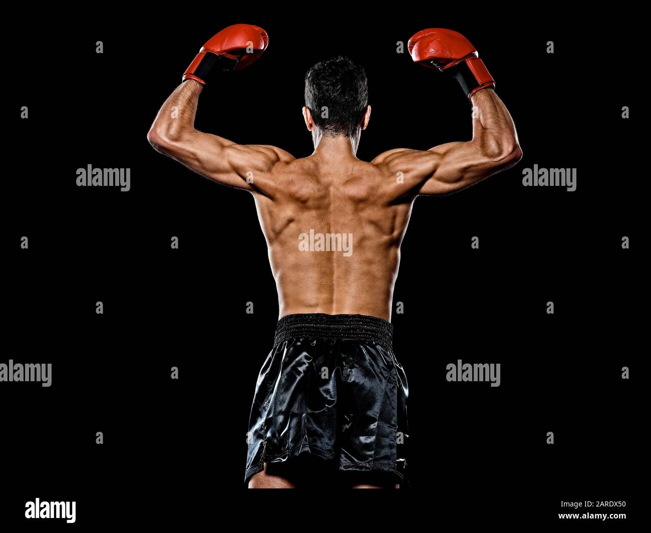 one caucasian young player man boxer boxing back rear view in studio ...
