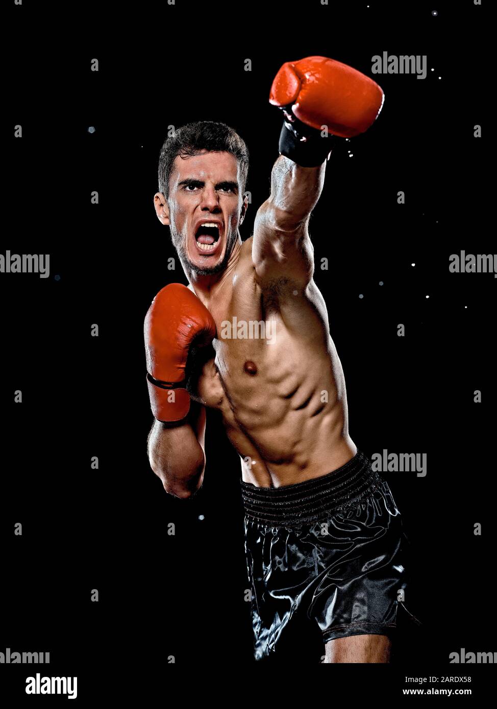one caucasian young player man boxer boxing portrait waist up in studio ...