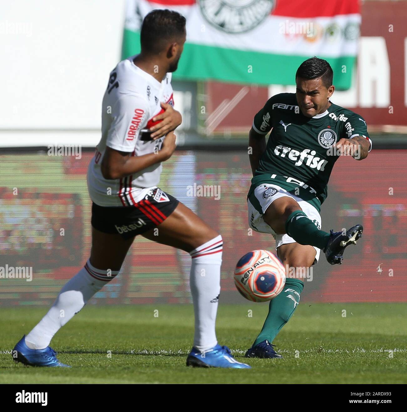 Araraquara, Brazil. 26th Jan, 2020. The player Dudu, from SE Palmeiras ...