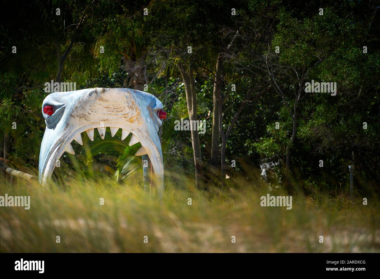 Novelty shark head entrance welcomes visitors to Great Keppel Island ...