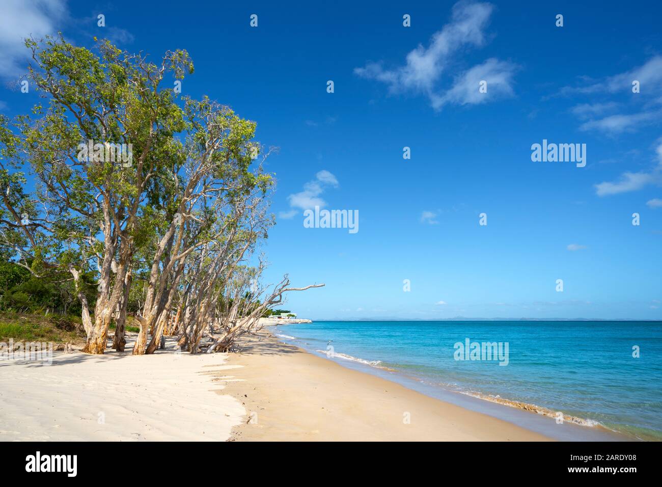 Clear water and white sand on Putney Beach Great Keppel Island ...