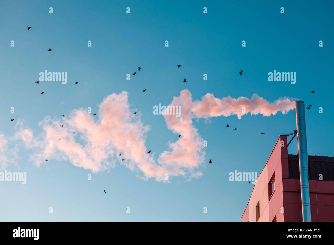flock of birds flying through industrial smoke Stock Photo - Alamy