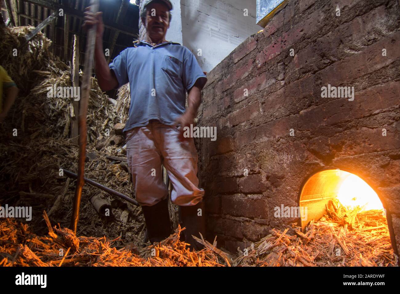 Man feeding fire of boiler's stove with sugarcane bagasse. Trapiche ...