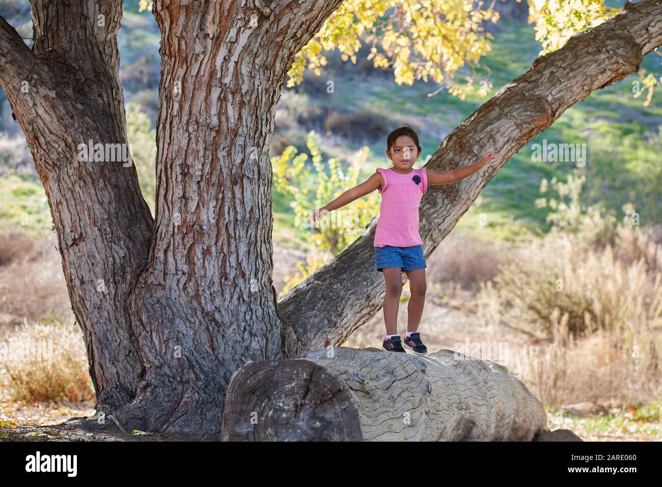 Child development stages hi-res stock photography and images - Alamy