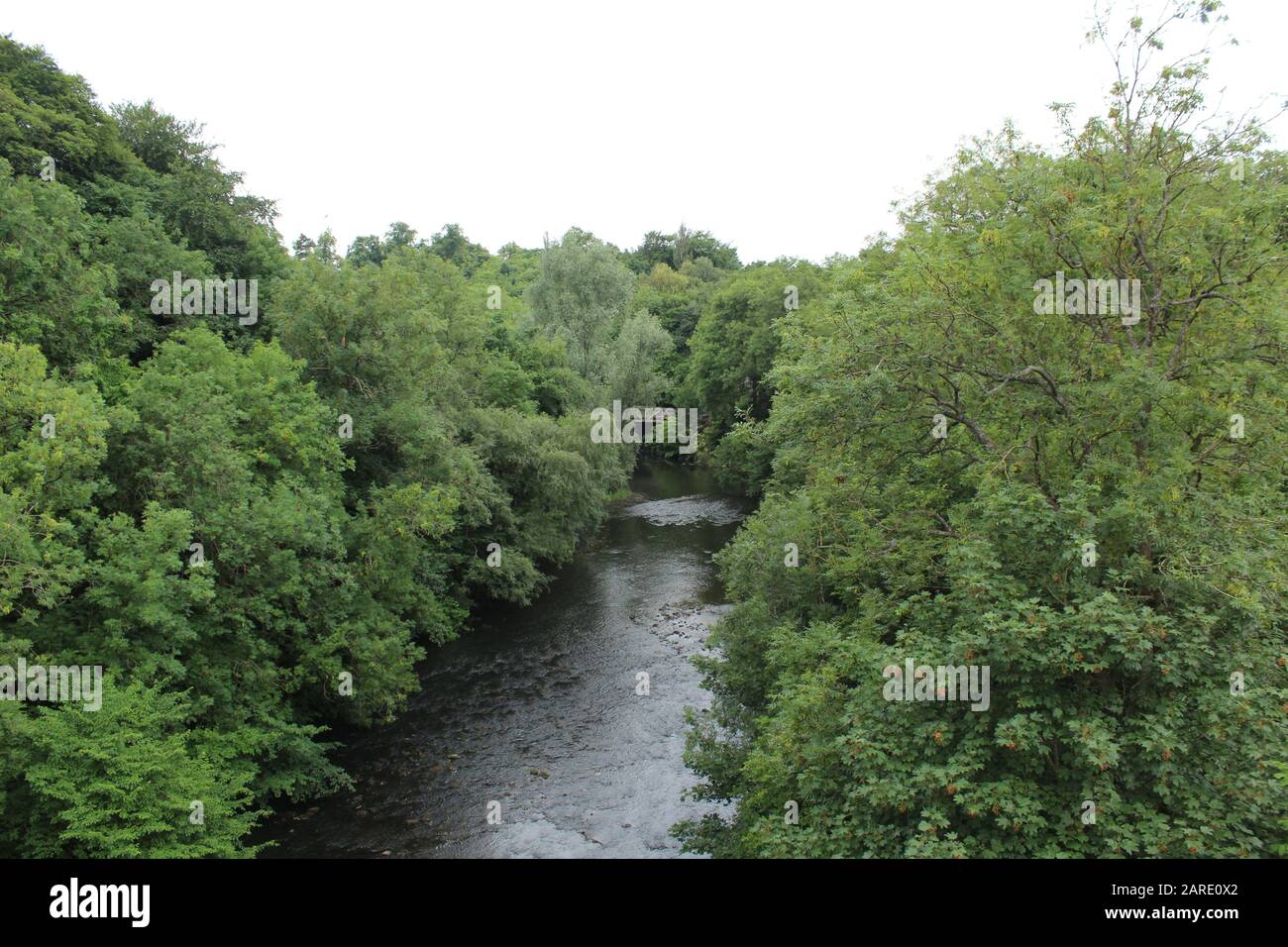 River Kelvin with full foliage Stock Photo - Alamy