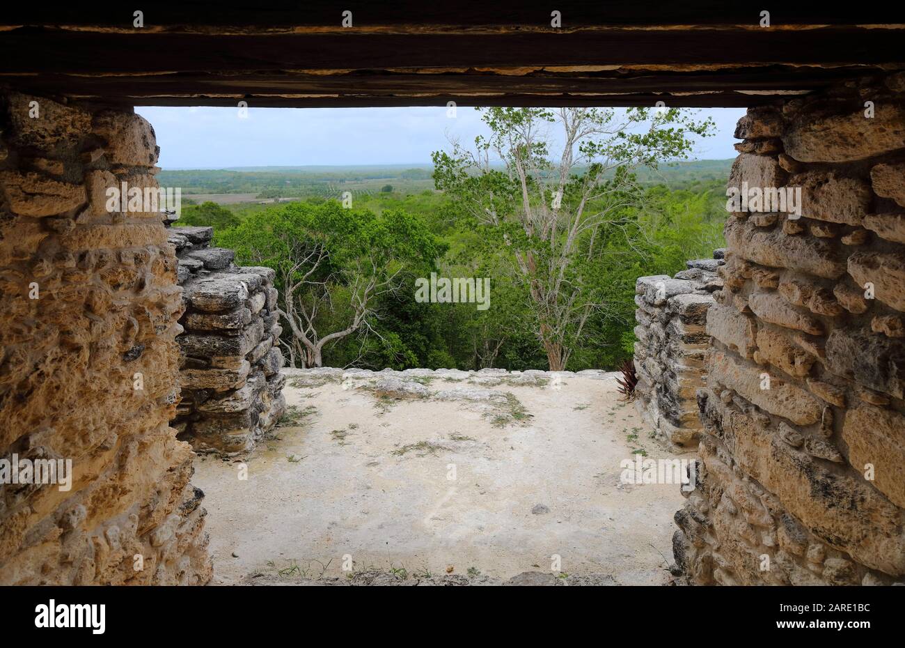 The view across the surrounding forest from beneath the wooden lintels ...