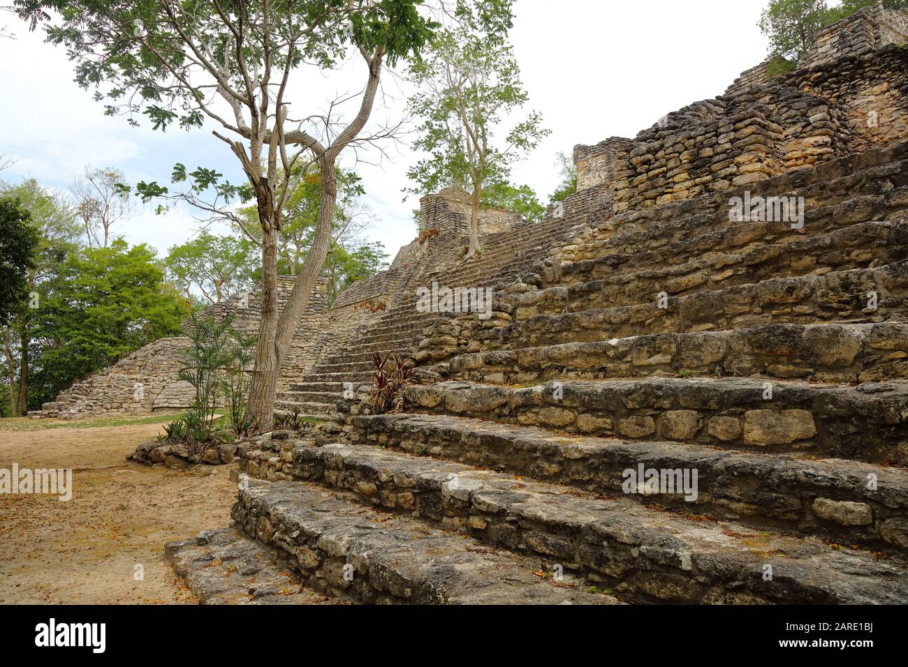 A tree grows from the center of the secondary level of the Pyramid of ...