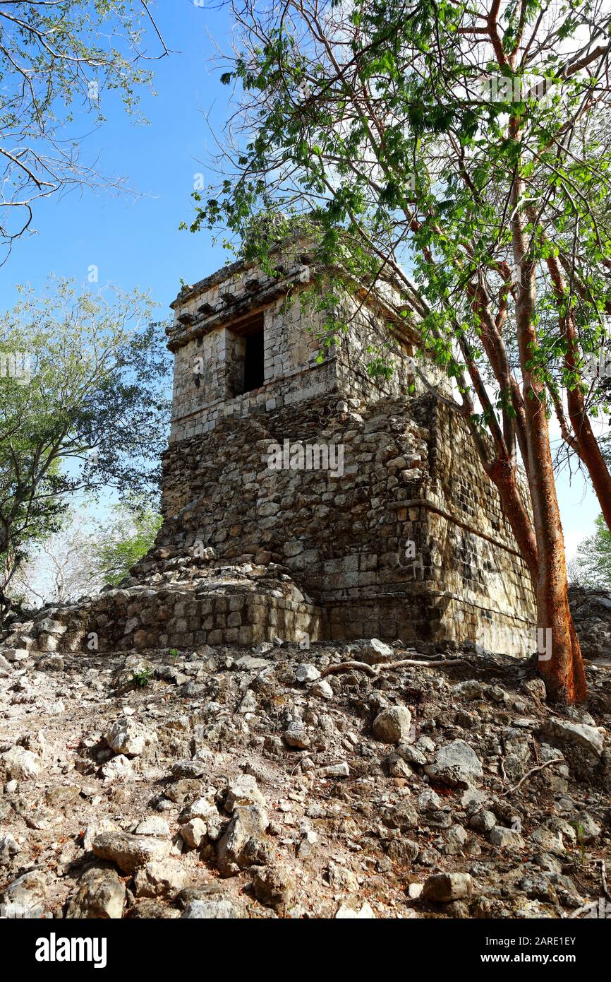 The towering ruins of Structure V of the ancient city of Hochob, Mexico ...