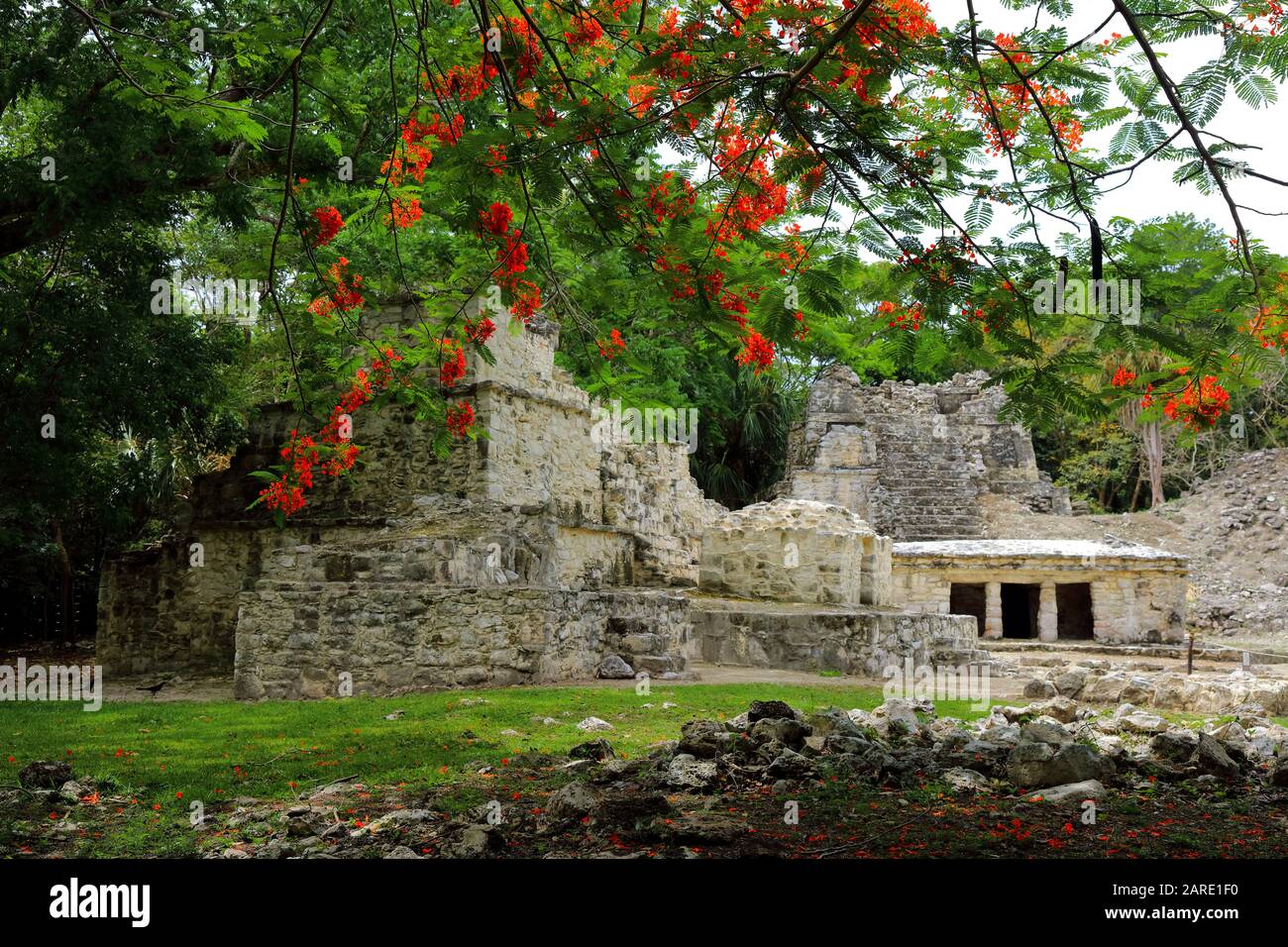The Mayan ruins of Structure 7H3 and a low pyramid and shrine are ...