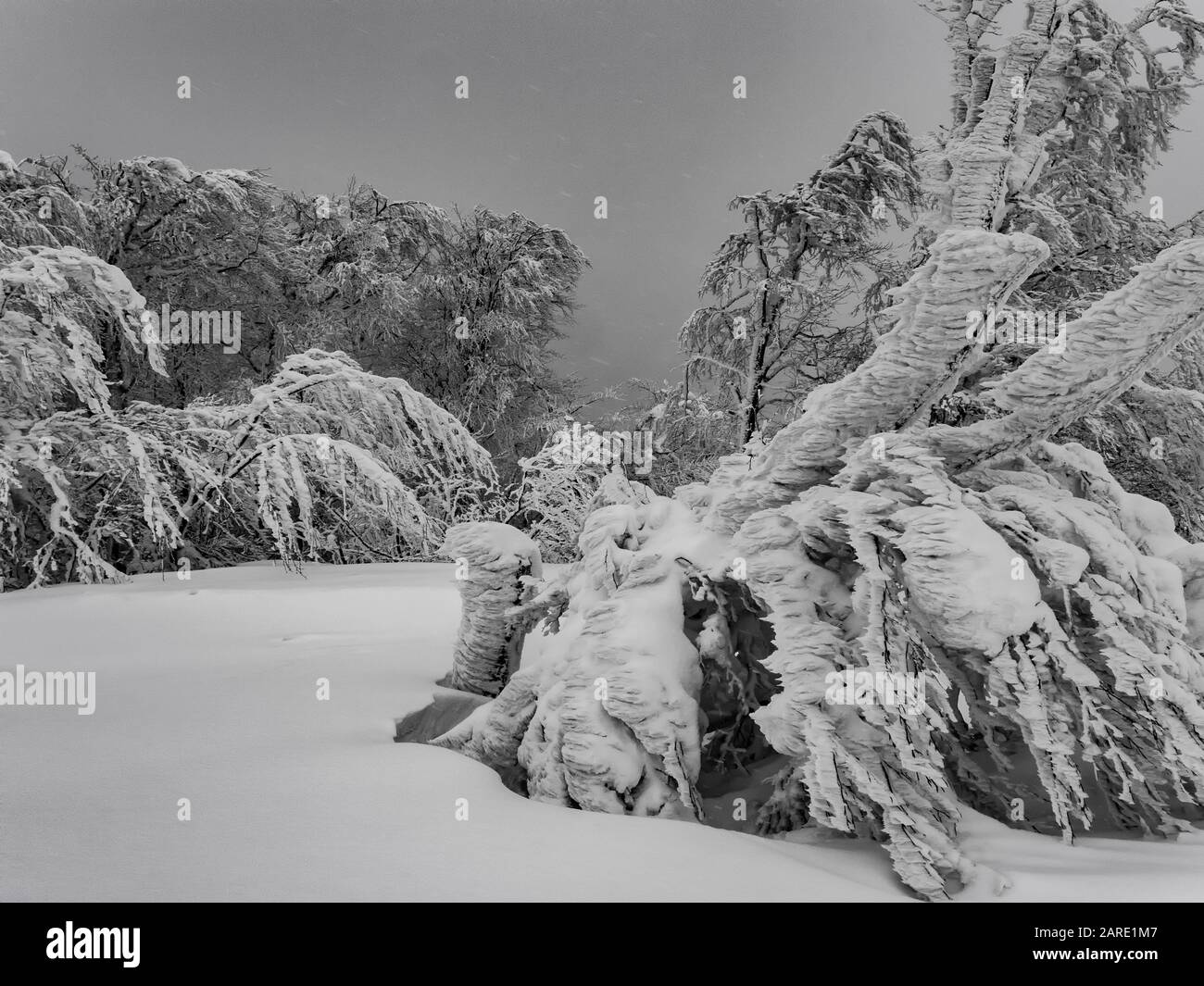 Severe snowfall with high wind. Extremely bad weather conditions ...