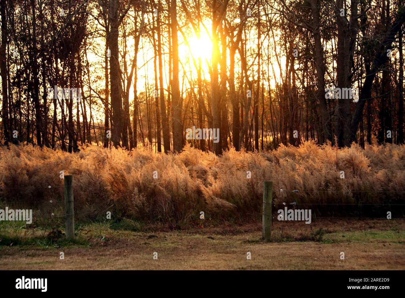 Sunny fields hi-res stock photography and images - Alamy