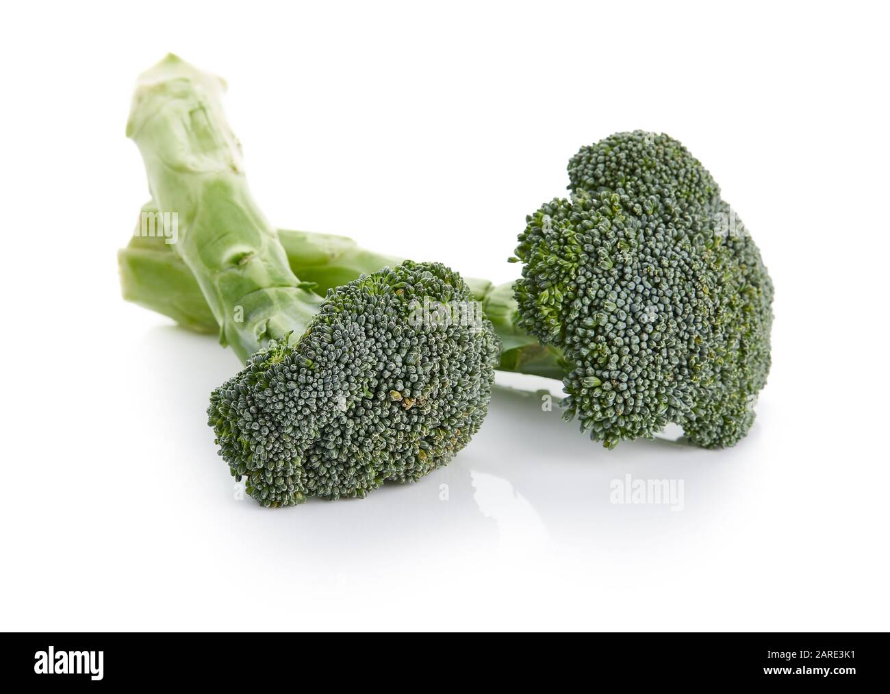 Broccoli plant Cut Out Stock Images & Pictures - Alamy