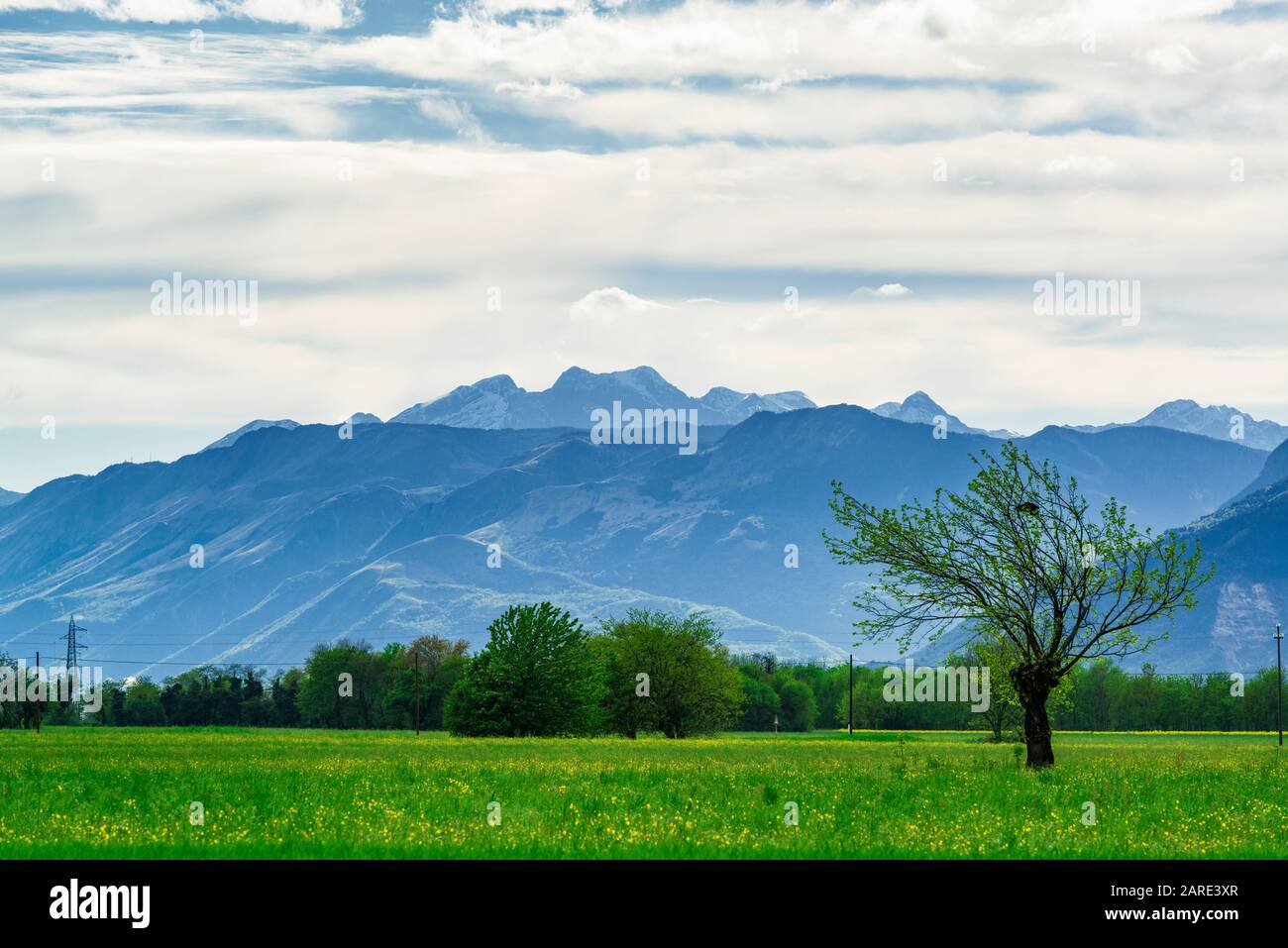 Typical spring landscape in Pordenone, Italy. Italian countryside with ...