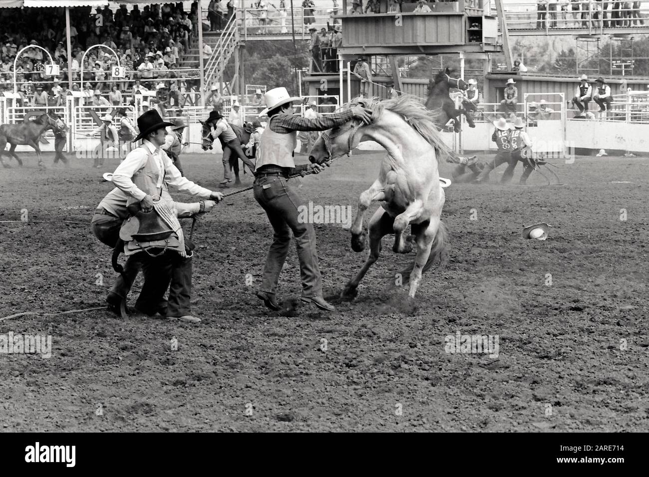 Vintage race horse poster hi-res stock photography and images - Alamy