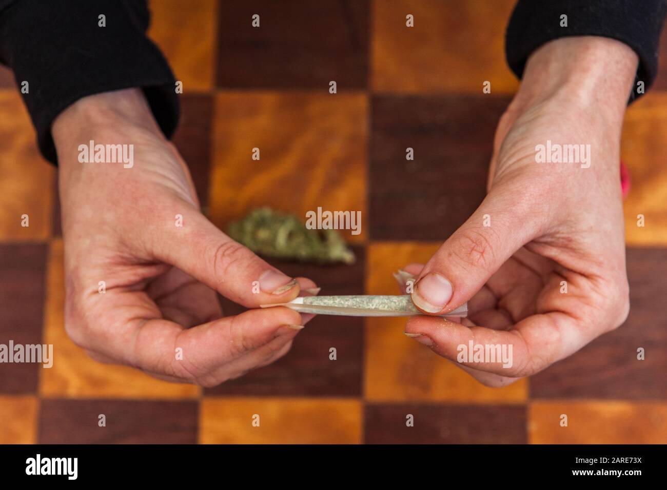 Closeup shot of hands twisting a ground cannabis filled rolling paper ...
