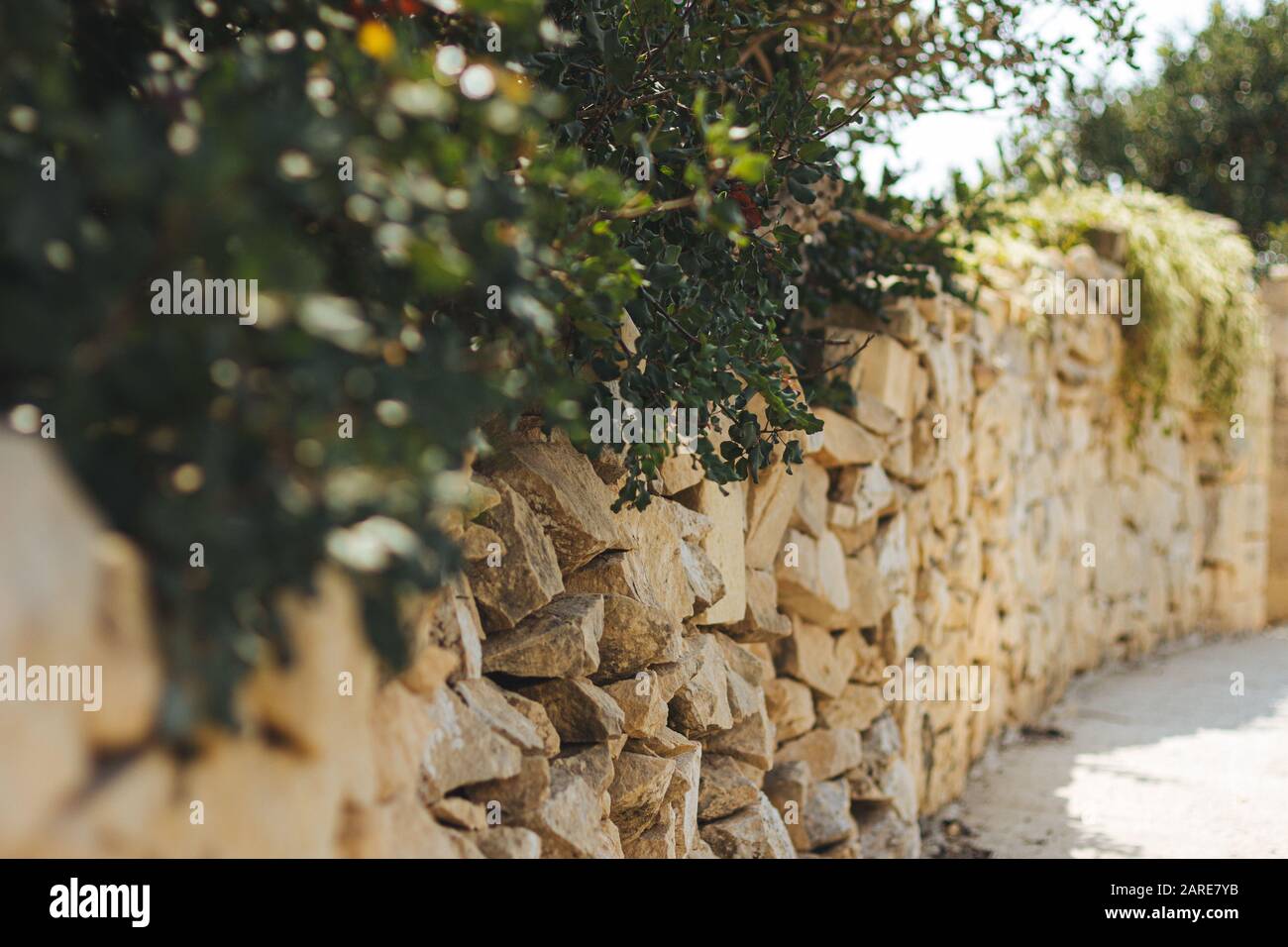 Fence in front of a garden with different kinds of plants Stock Photo ...