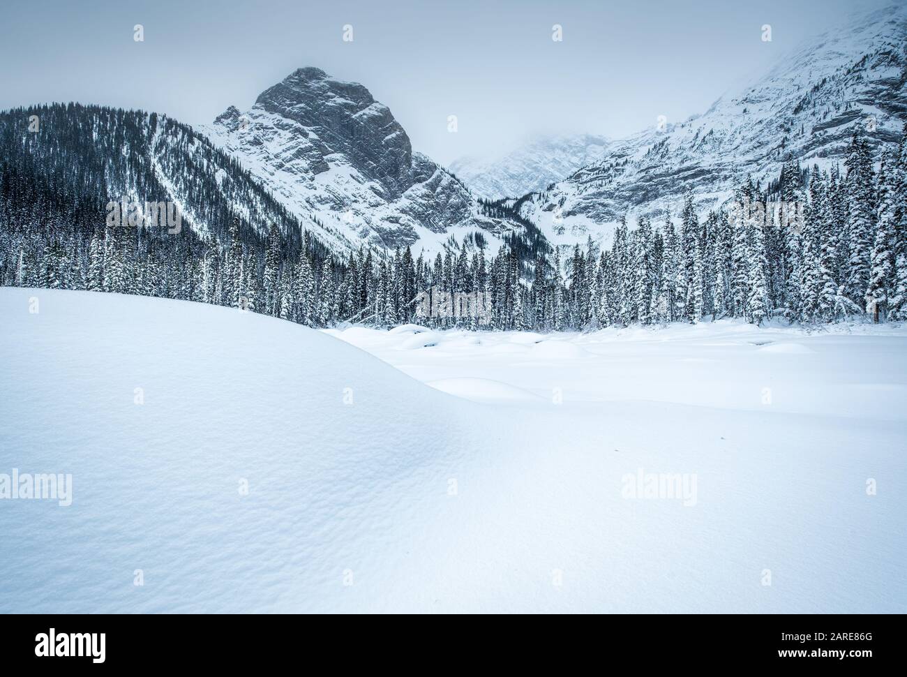 Canadian winter hi-res stock photography and images - Alamy