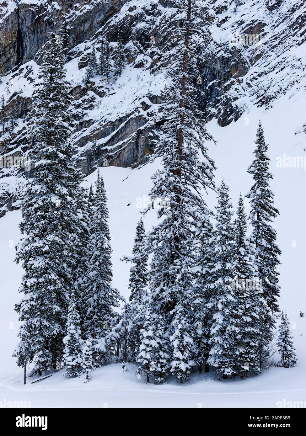 Canadian winter scene fresh snow hi-res stock photography and images ...