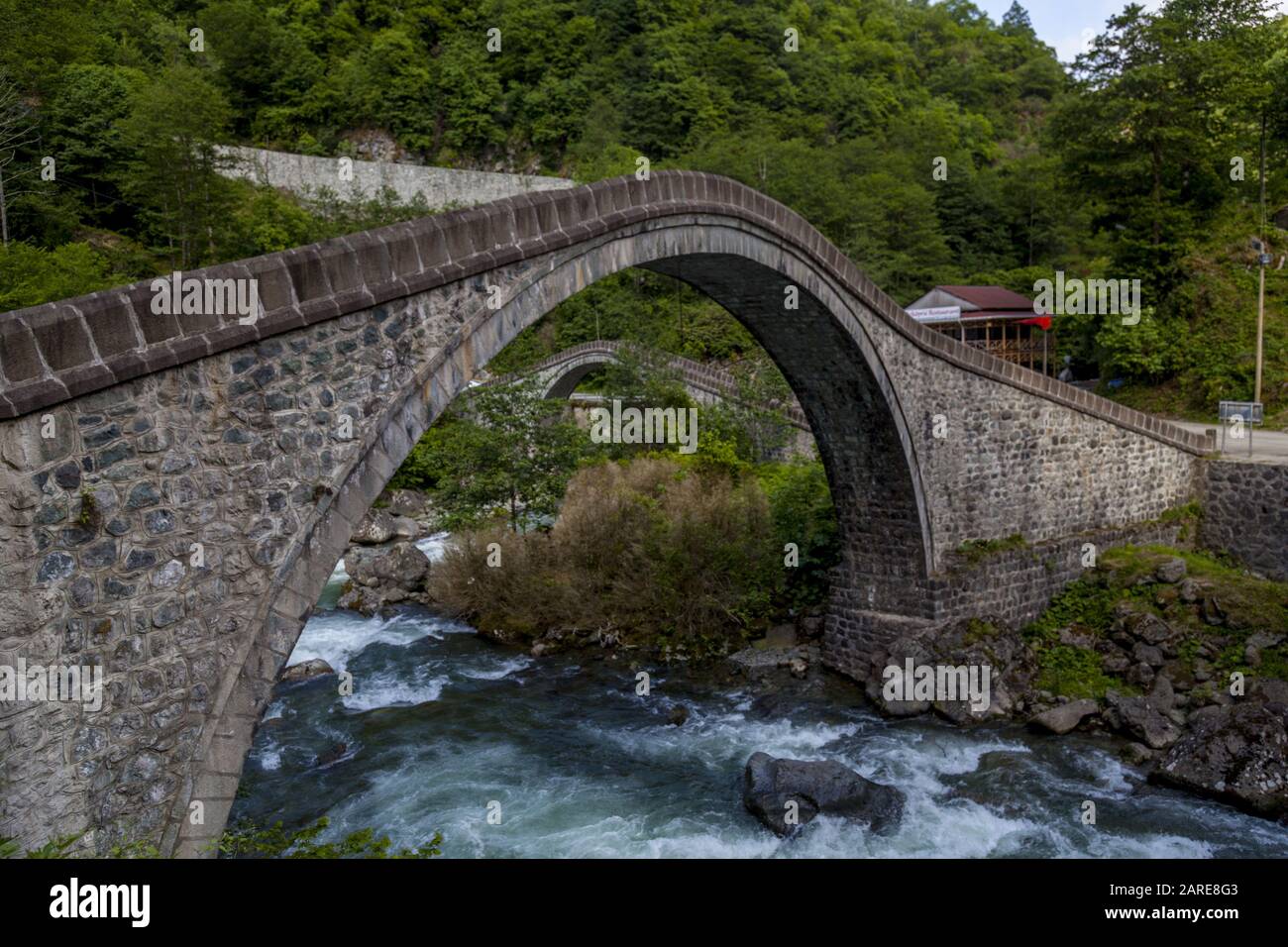 Arch bridge above a river surrounded by forests in Arhavi in Turkey ...