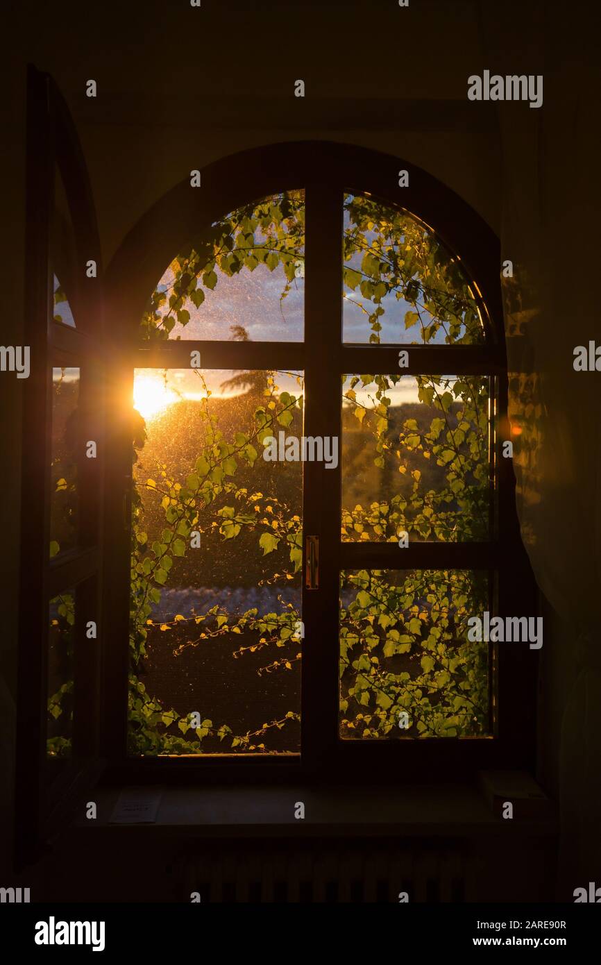 Vertical shot of an opened arched window with the sun shining in the ...