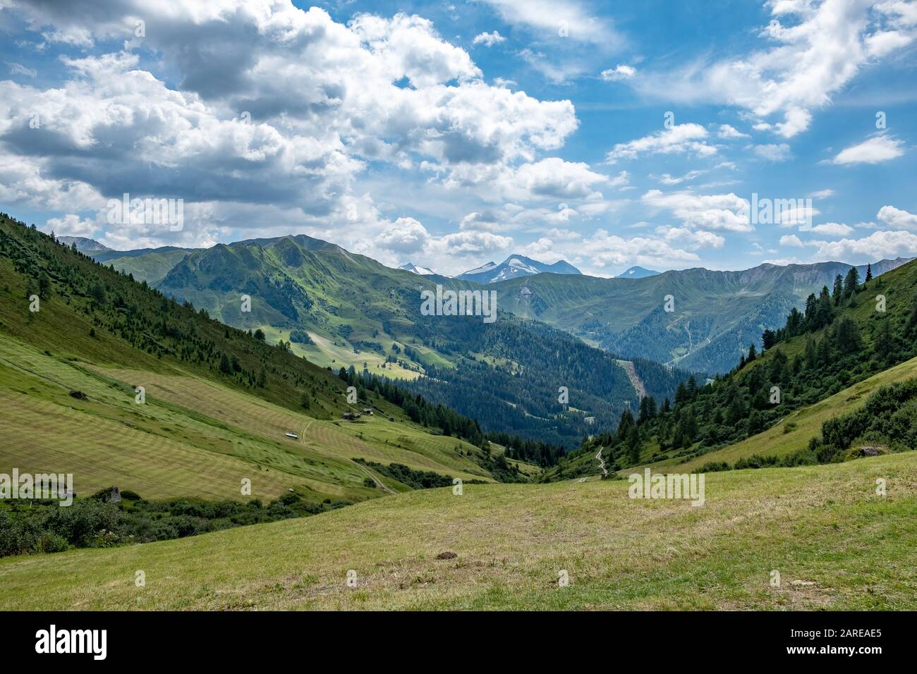 Landscape of rocky mountains covered in forests under the sunlight and ...