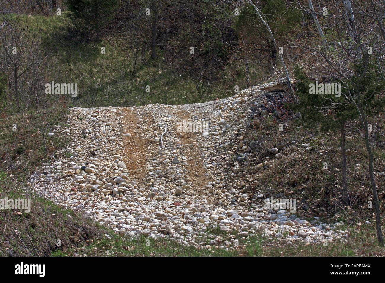 Elevated pathway in the forest with a visible wheel track Stock Photo ...