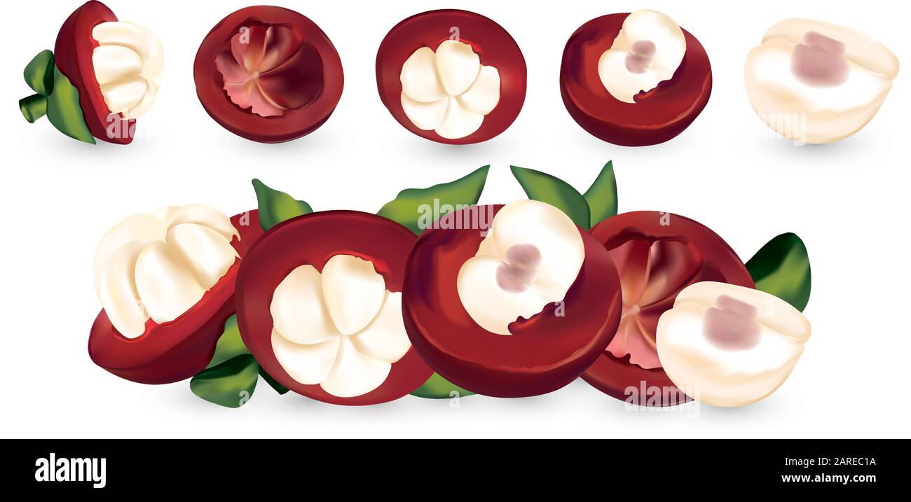 Fresh mangosteen isolated on white background. Mangosteen, whole and a ...
