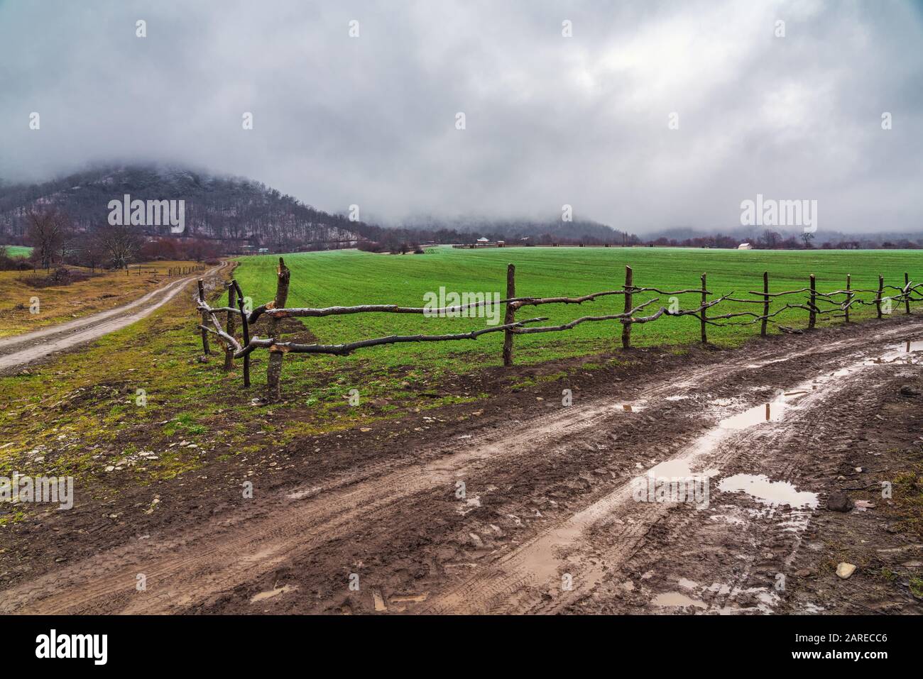 Puddles field crop hi-res stock photography and images - Alamy