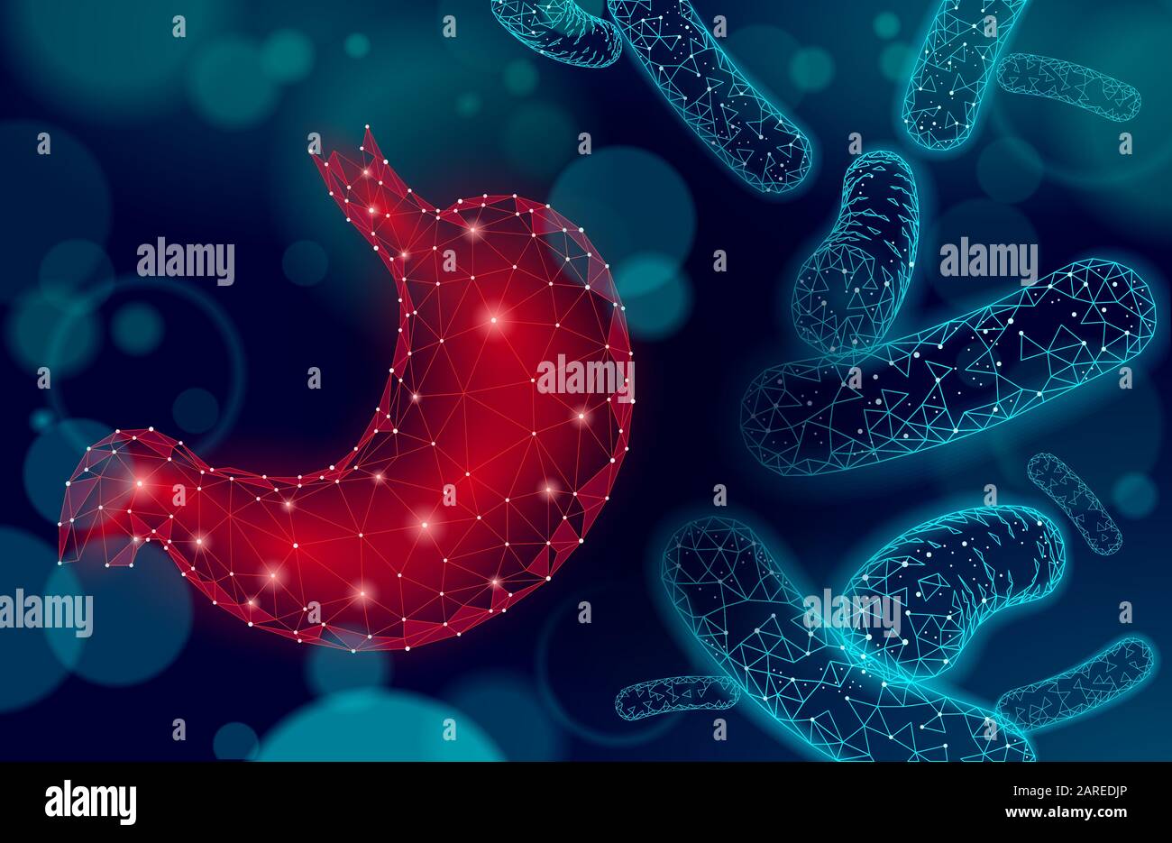 Human stomach microscopic 3D low poly render probiotics. Healthy normal ...