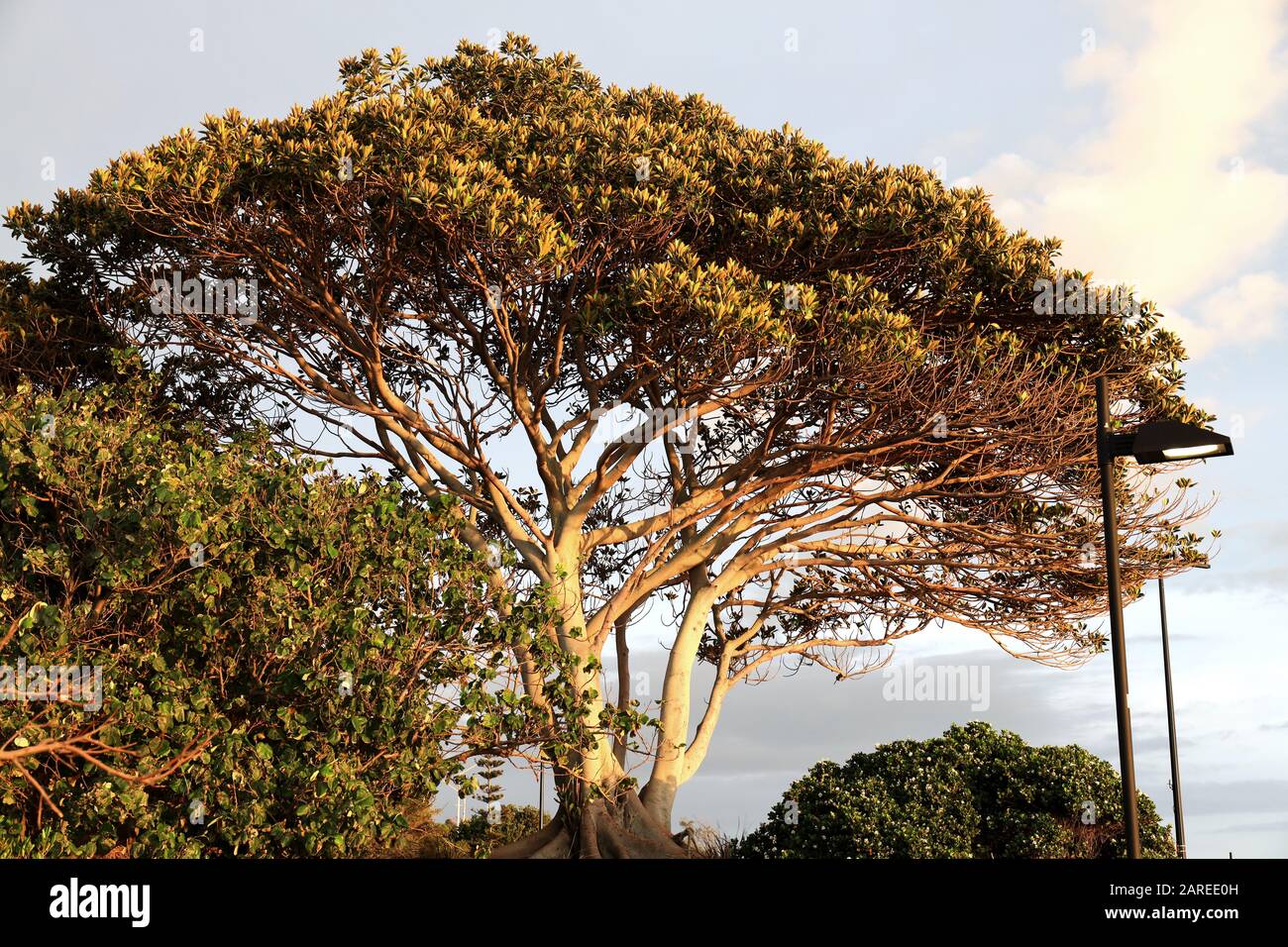 Beautiful sun rising images hi-res stock photography and images - Alamy