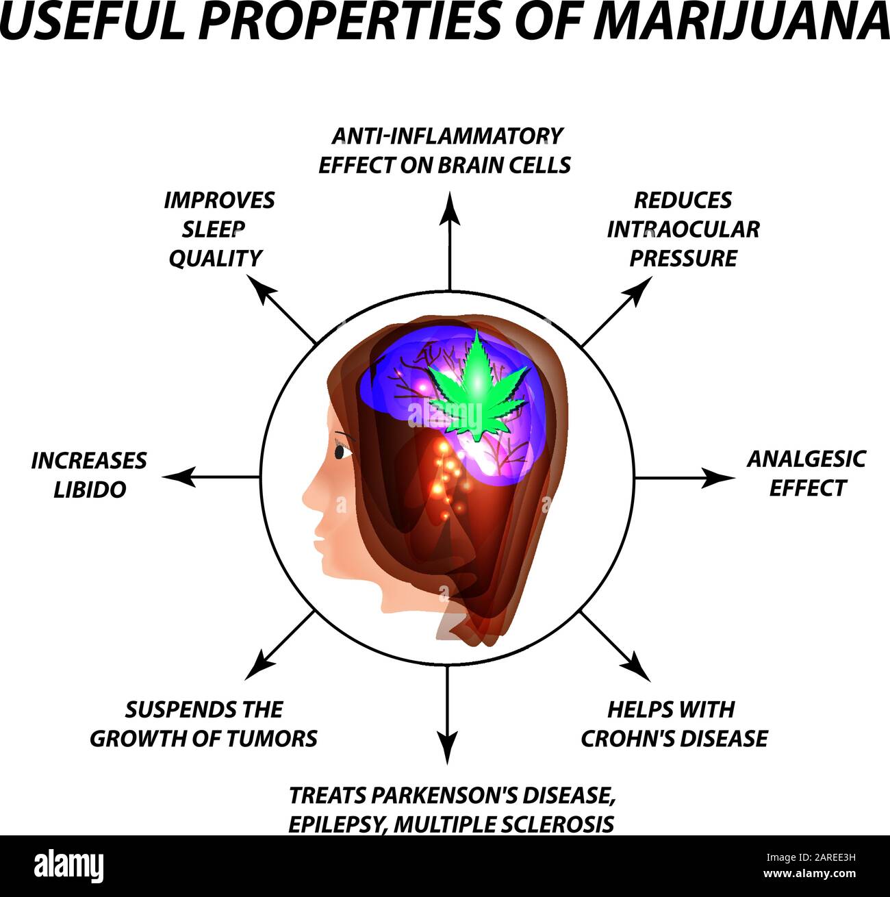 Useful properties of cannabis. Cannabis treatment. Cannabinoid, hemp ...