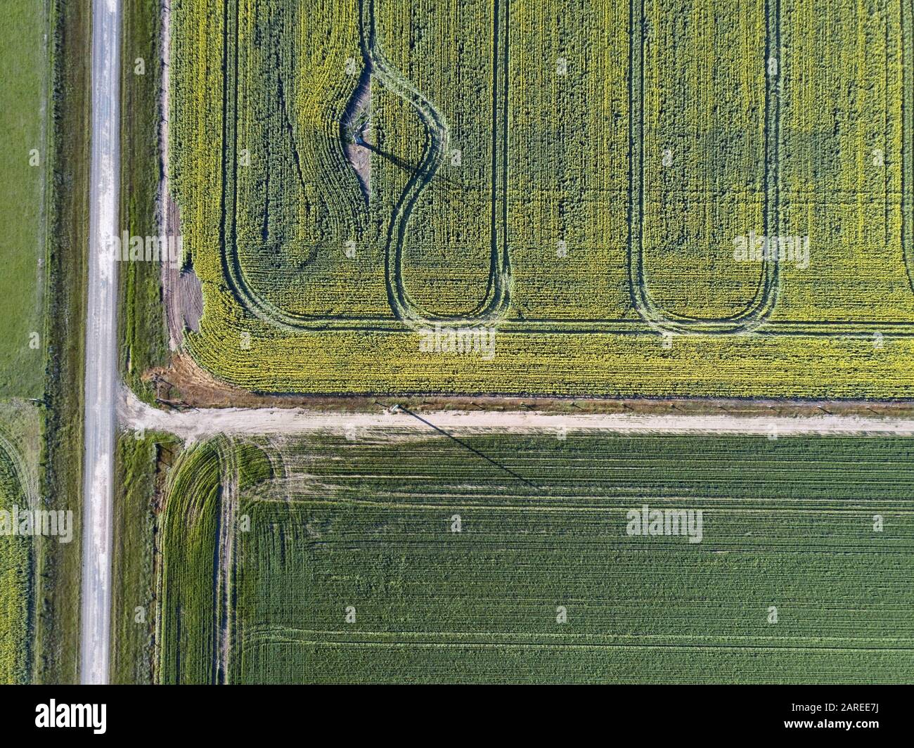 Canola crops aerial view, connecting dirt roads and background patterns ...