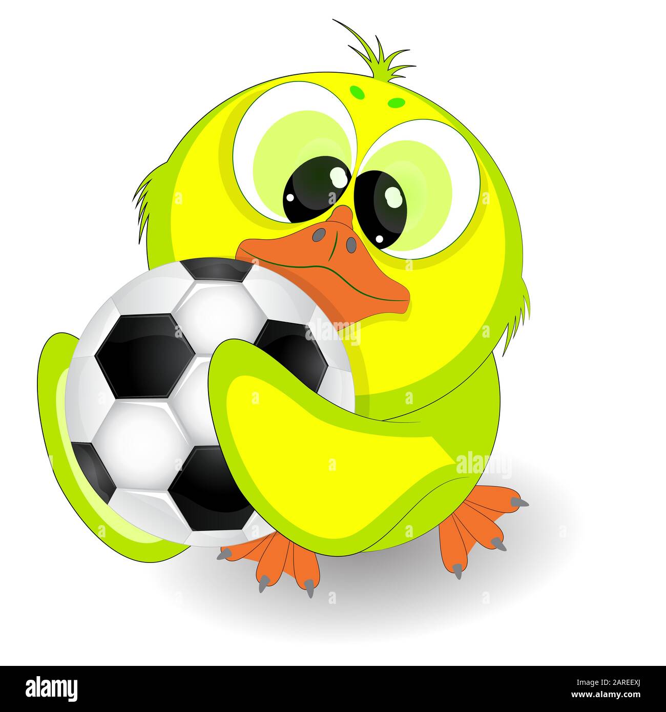 Duck standing on one Stock Vector Images - Alamy