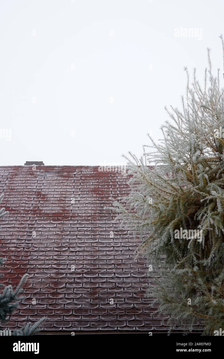 Felt roof hi-res stock photography and images - Alamy