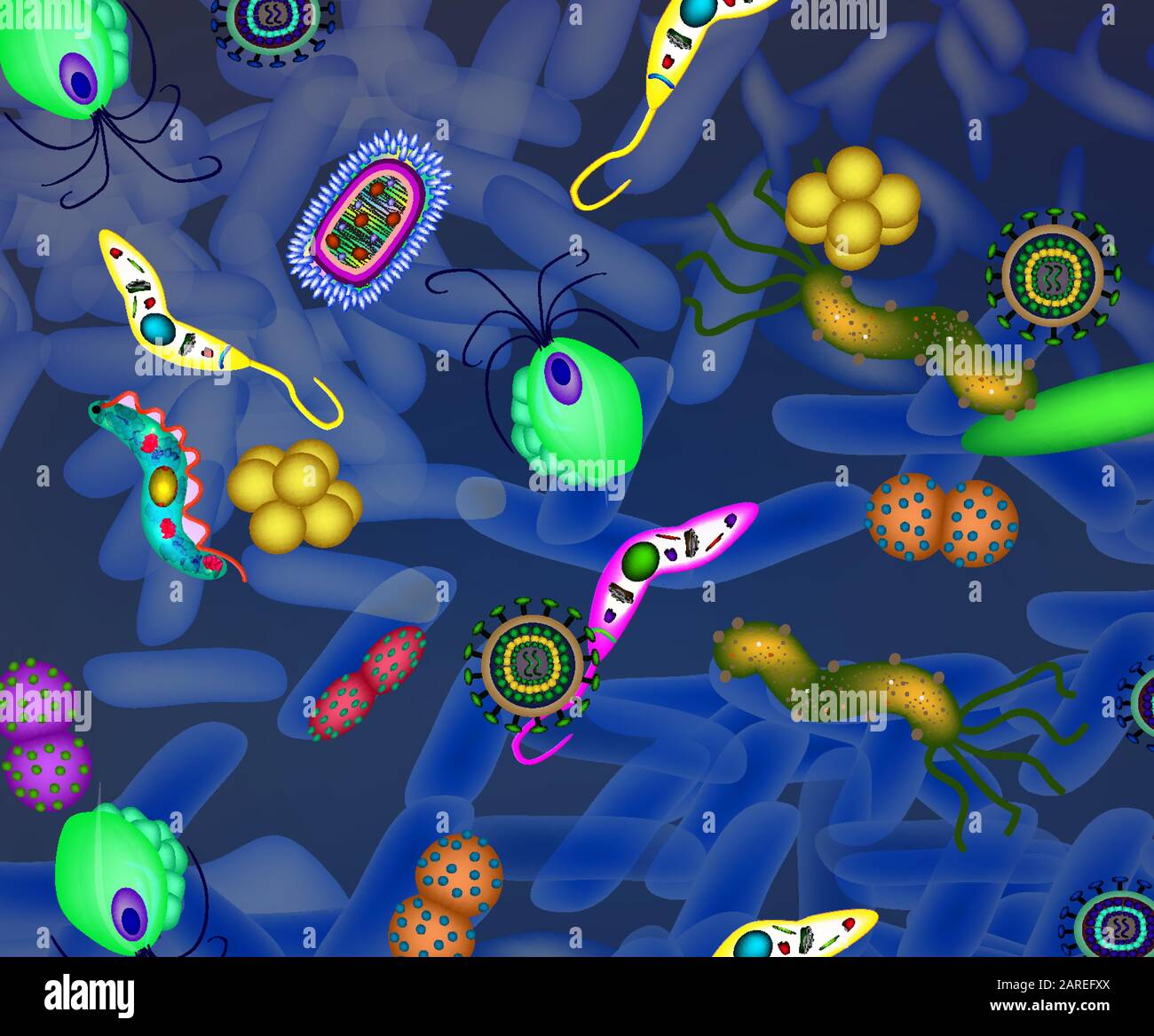 Pathogenic microflora in the intestine background. Dysbacteriosis ...