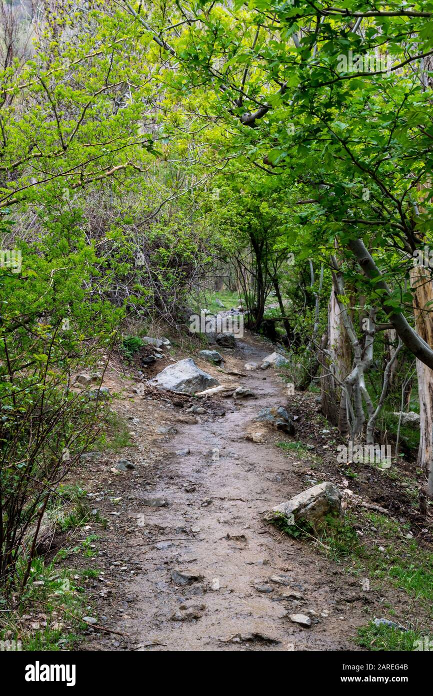 Narrow mountain path hi-res stock photography and images - Alamy