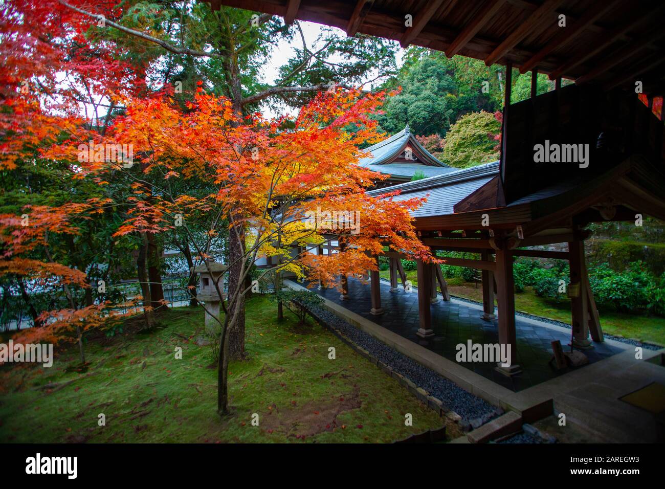 temple garden - Japanese rock garden Ryōan-ji (late 16th century) in ...