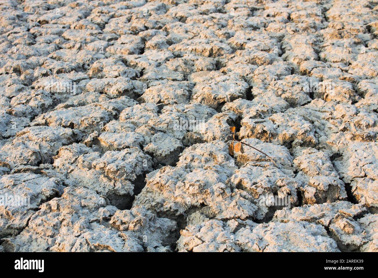 ground is dry until it causes the disintegration of the ground. And a ...