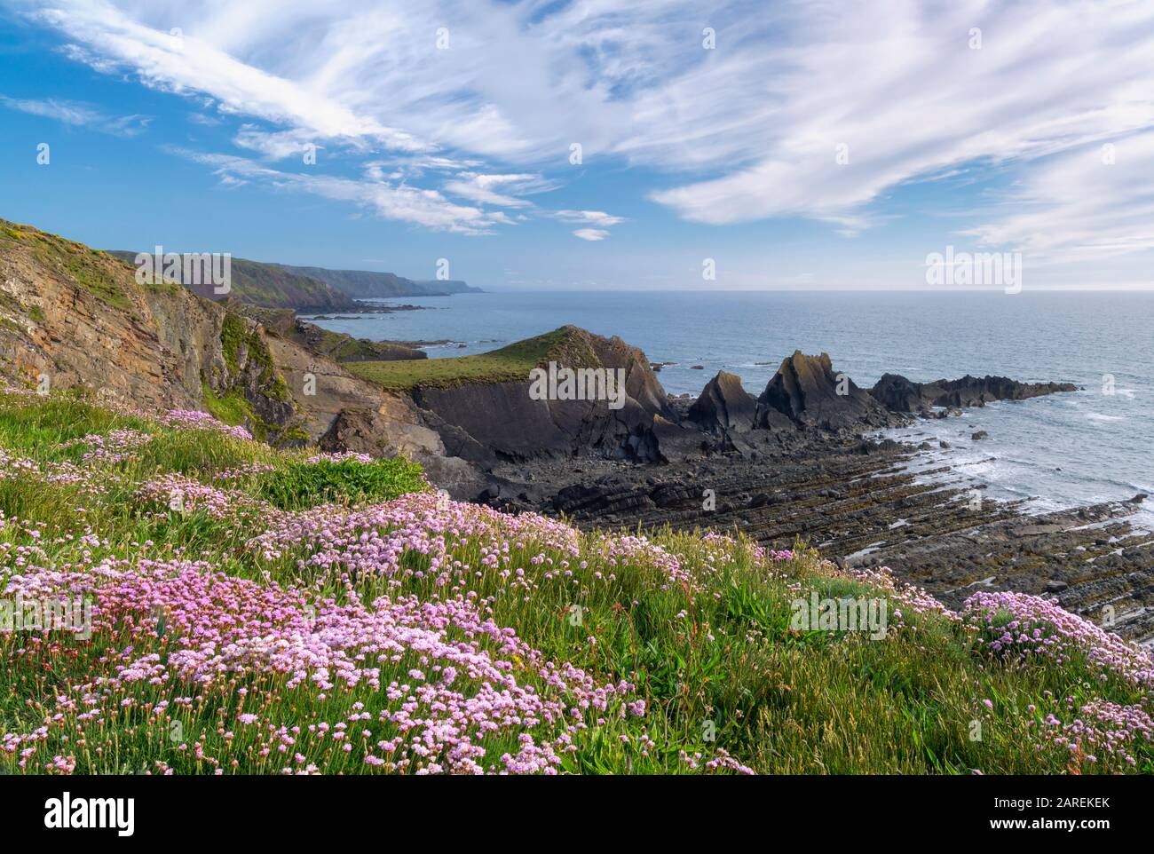 Hartland devon path hi-res stock photography and images - Alamy