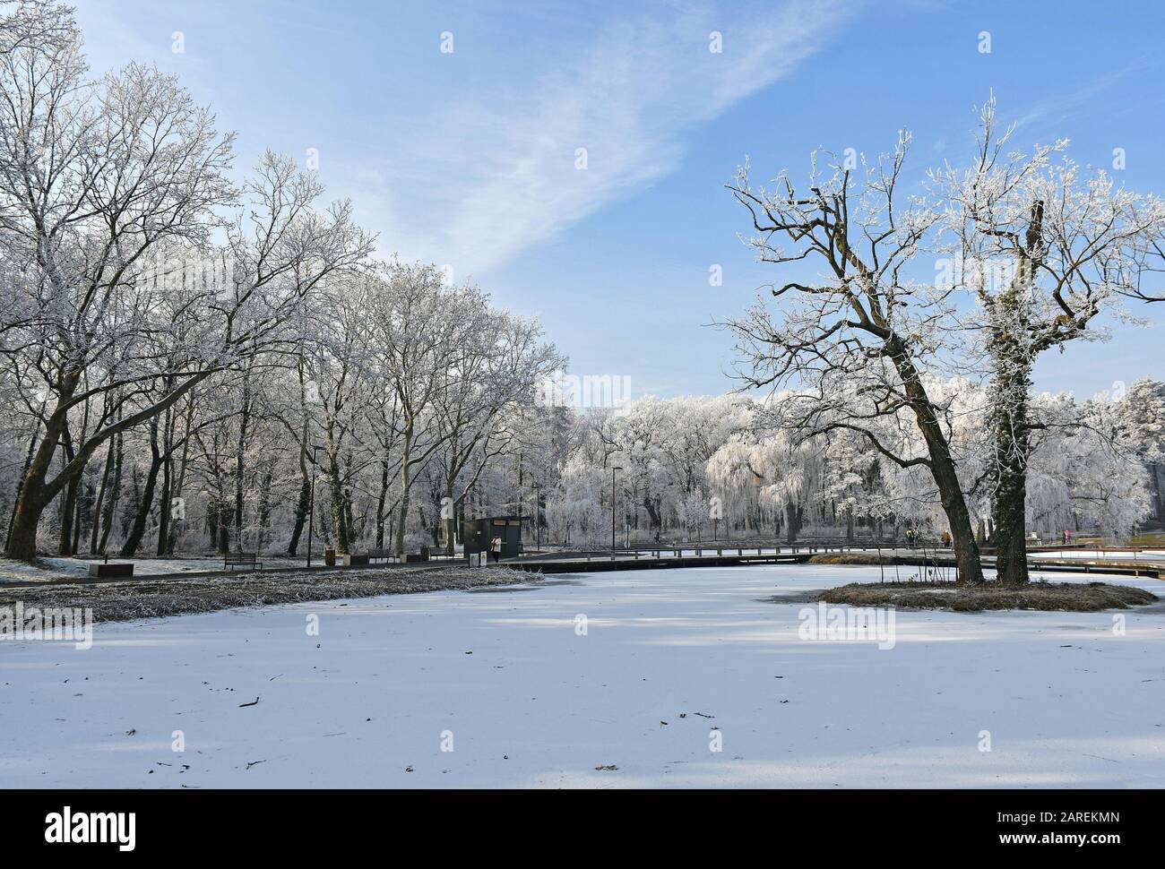 Winter woods at the lakeside Stock Photo - Alamy