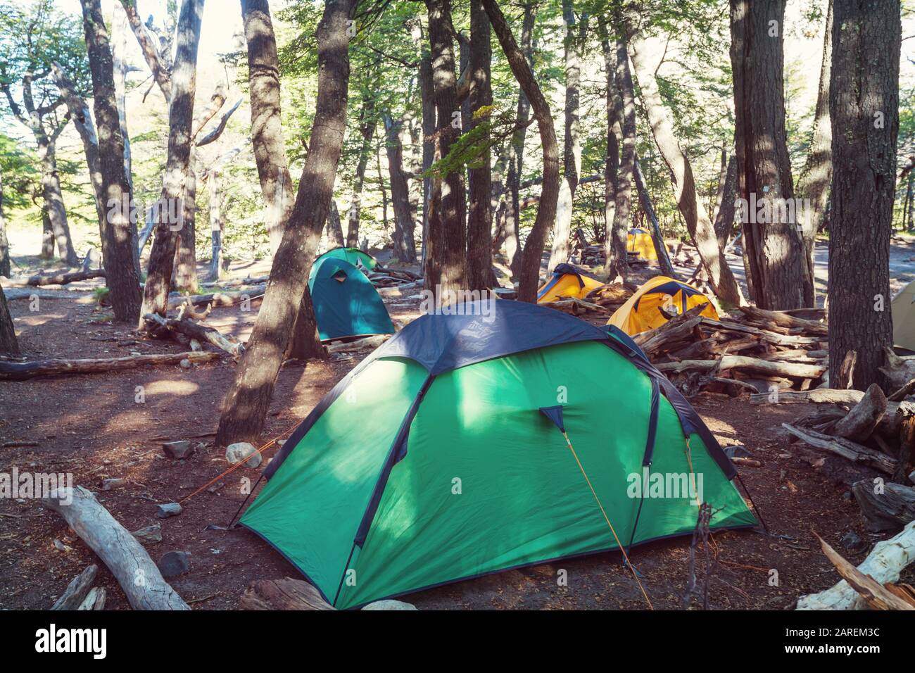 Modern tourist tent hanging between trees in green forest Stock Photo ...