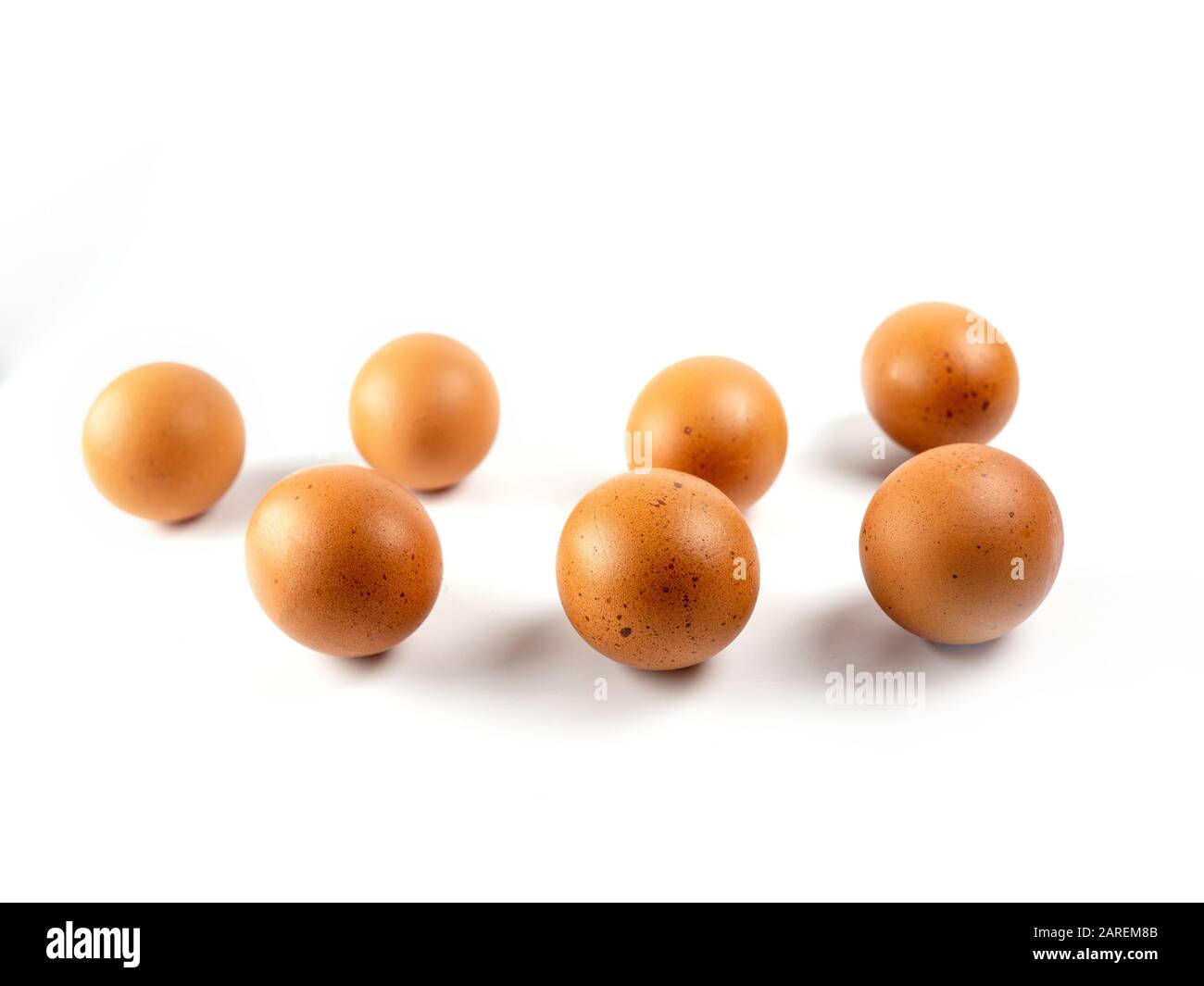 egg on white background Stock Photo - Alamy