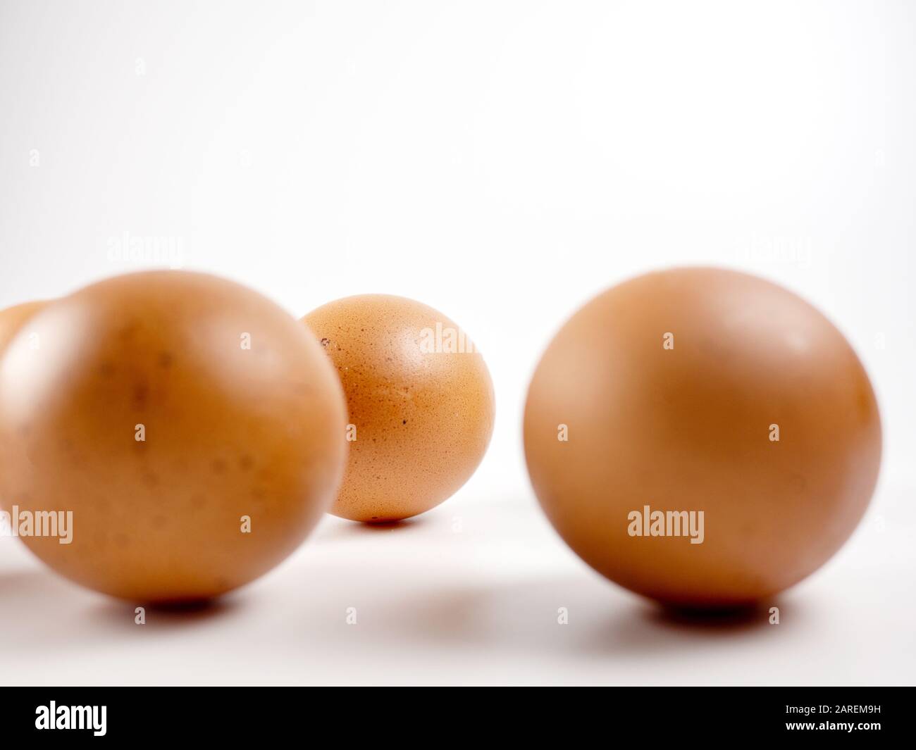 egg on white background Stock Photo - Alamy